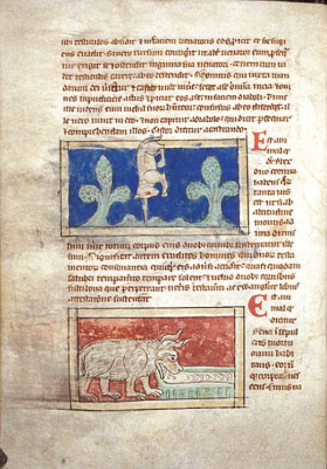 Medieval Bestiary : Manuscripts : British Library Sloane MS 3544