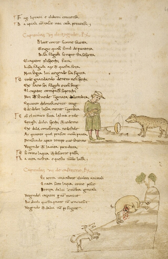 Medieval Bestiary : Manuscripts : Bodleian MS. Canon. Ital. 38