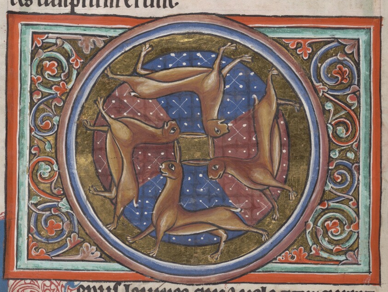 Medieval Bestiary : Beasts : Hare
