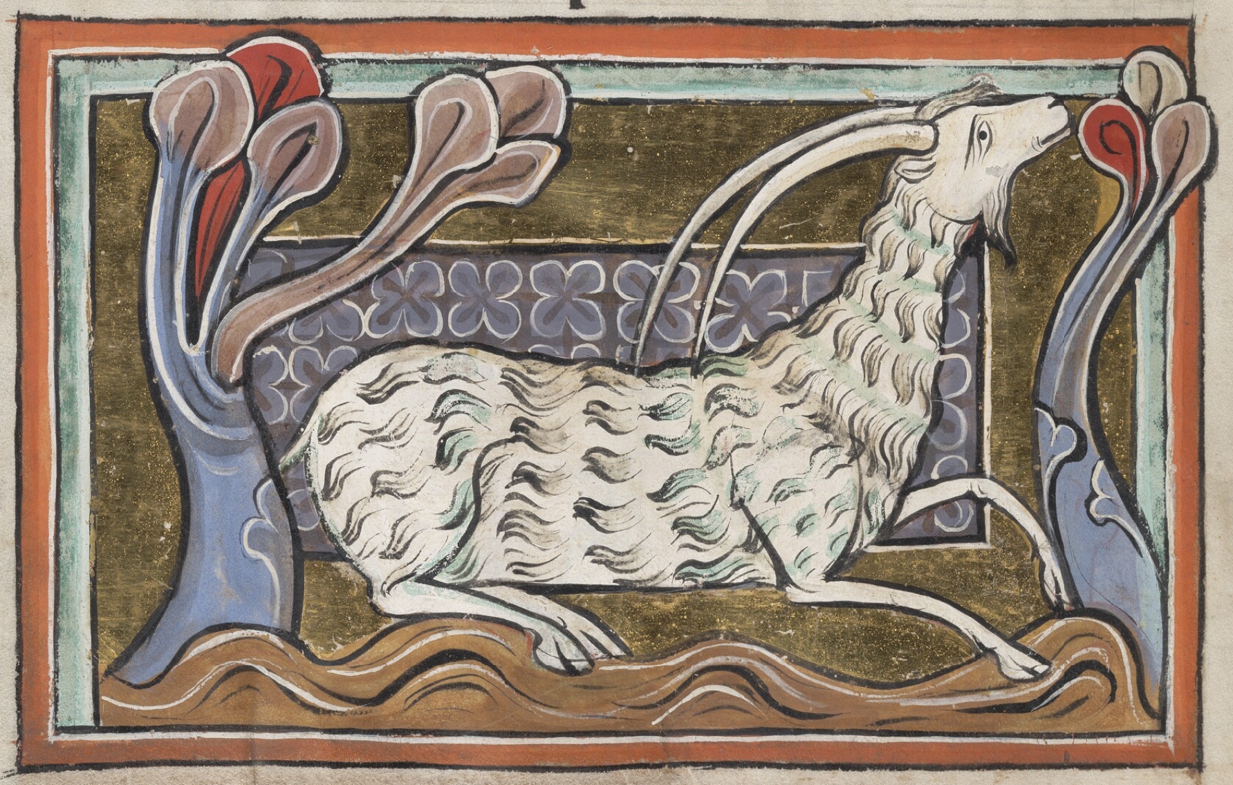 Medieval Bestiary : Beasts : He-goat