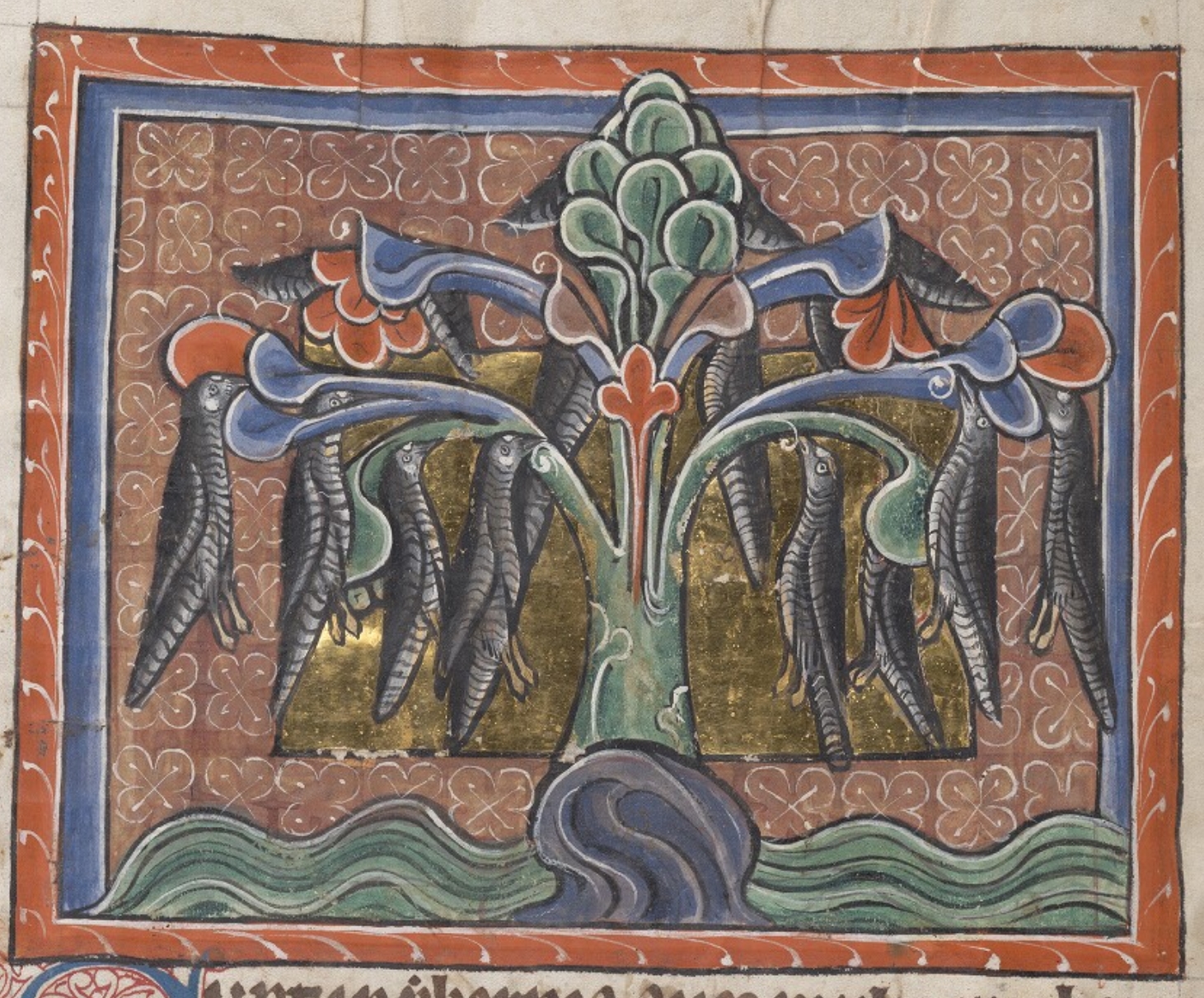 Medieval Bestiary : Beasts : Barnacle Goose