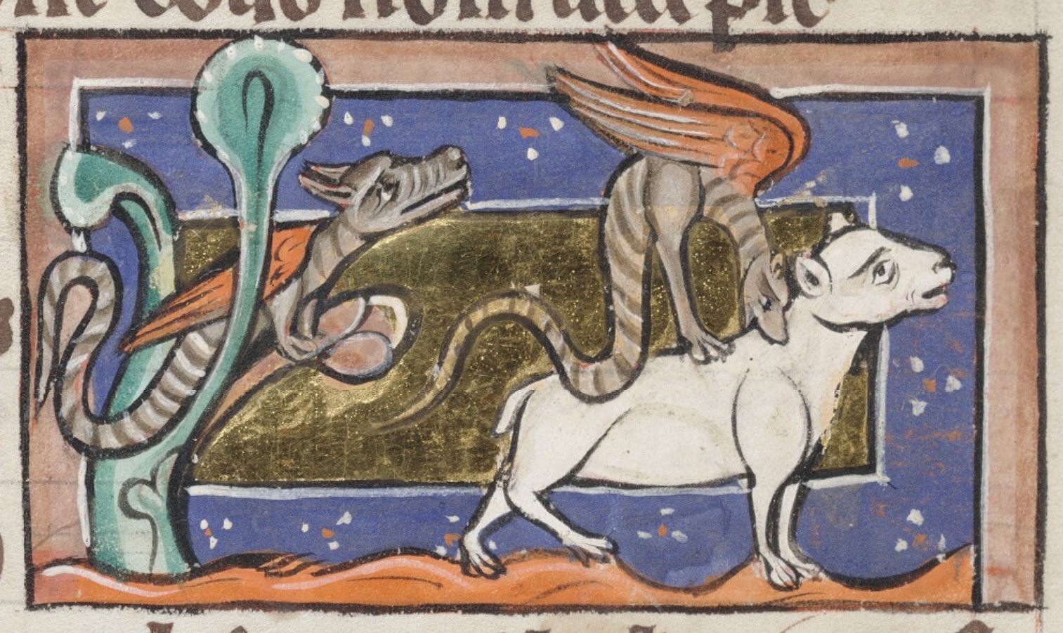Medieval Bestiary : Beasts : Jaculus