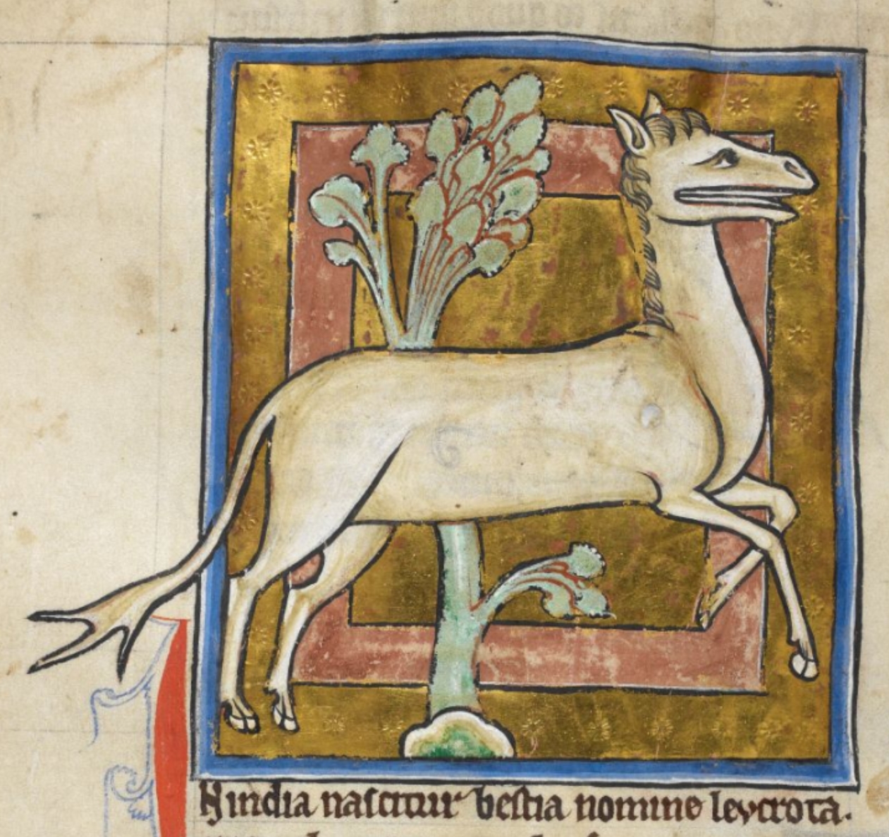 Medieval Bestiary : Beasts : Leucrota