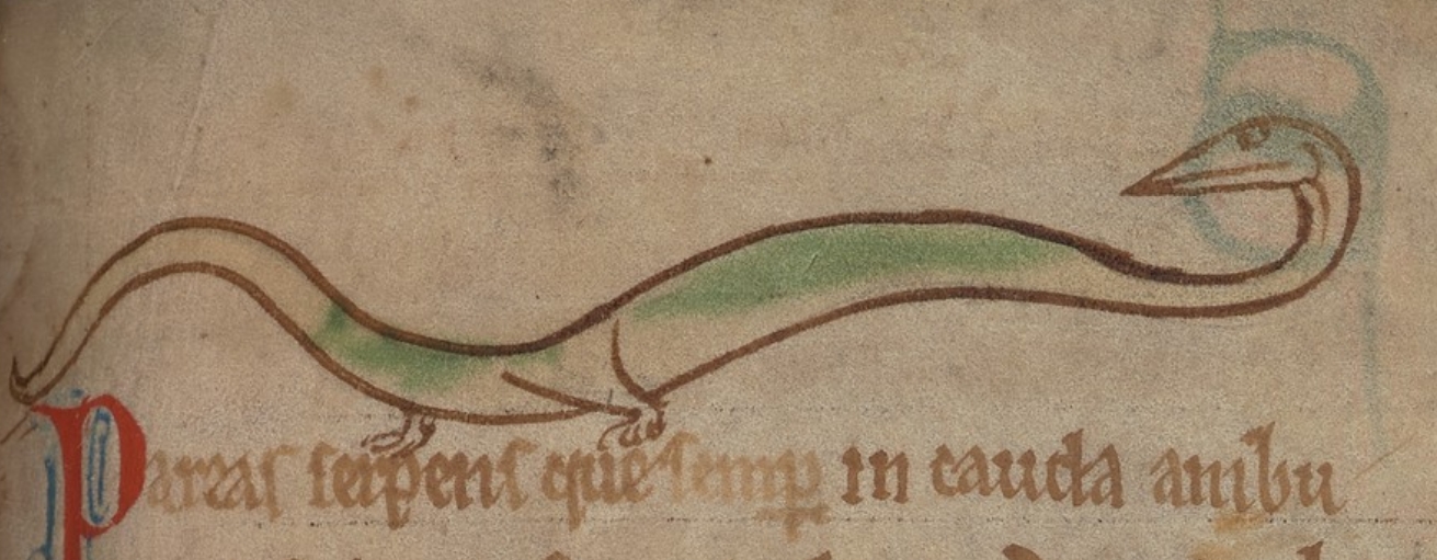 Medieval Bestiary : Beasts : Parias