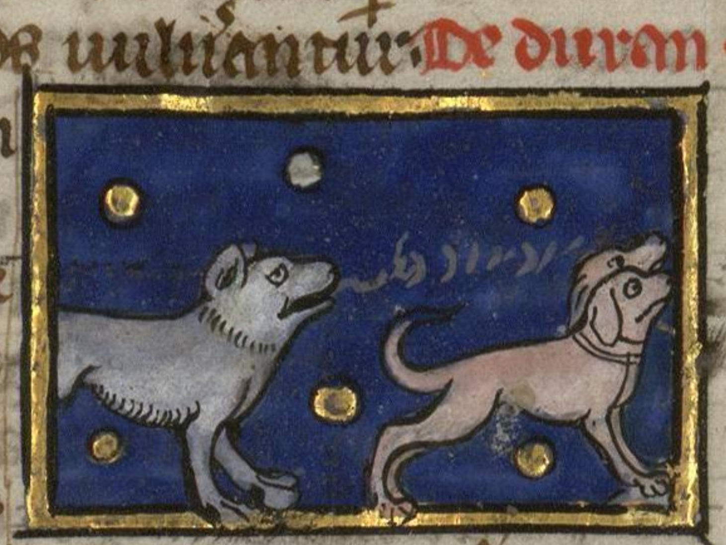 Medieval Bestiary : Beasts : Duran