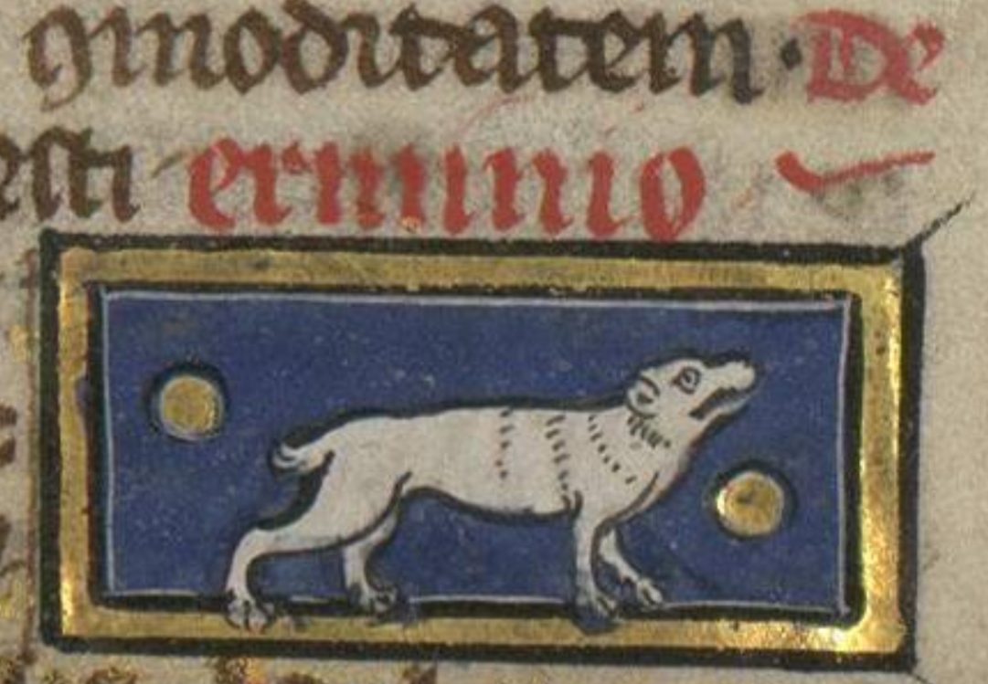 Medieval Bestiary : Beasts : Ermine