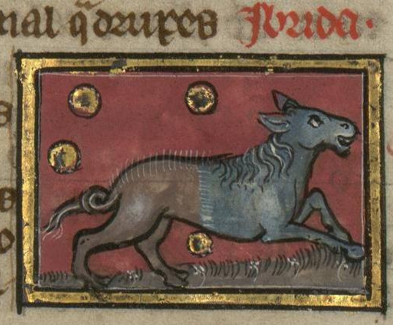 Medieval Bestiary : Beasts : Ibrida