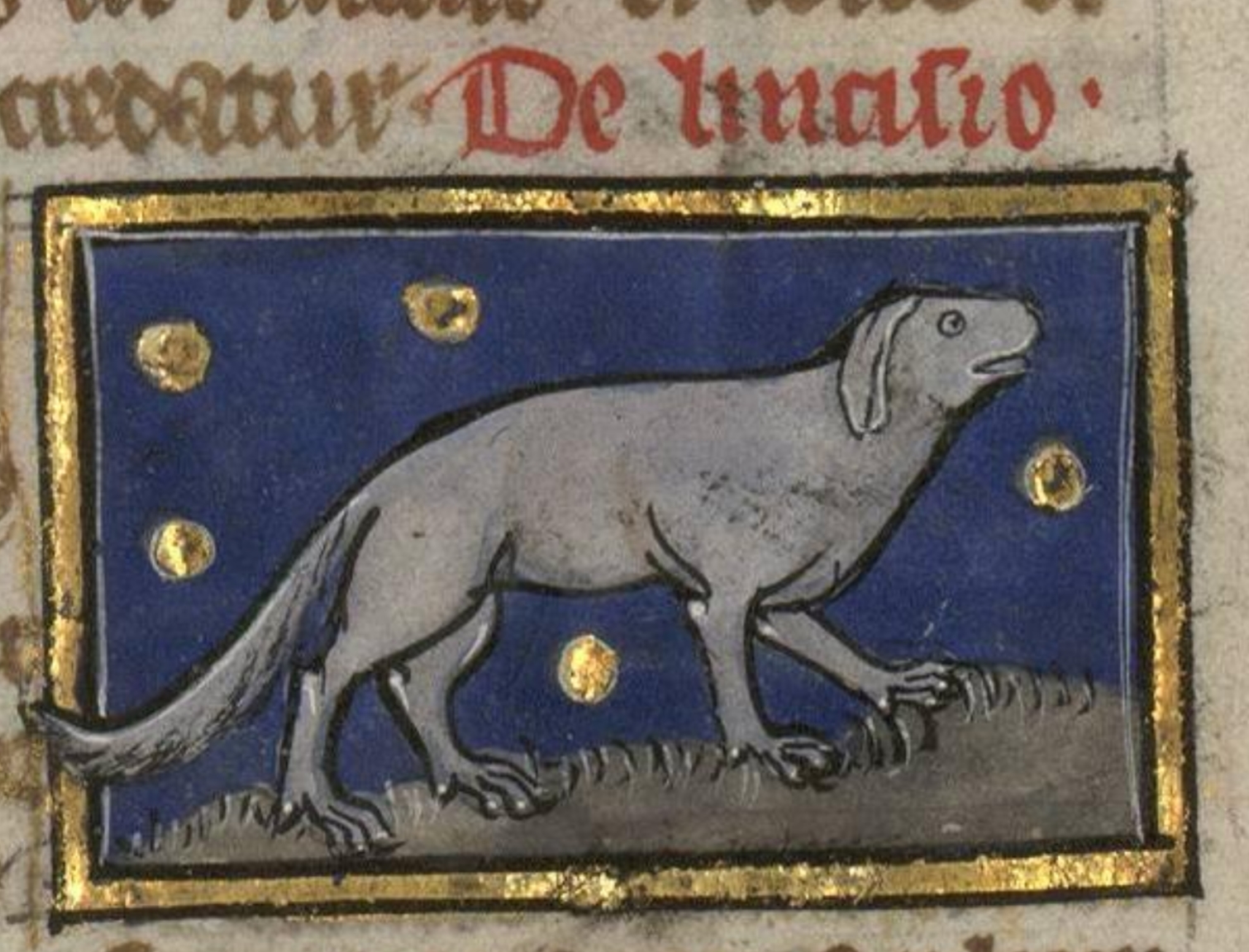 Medieval Bestiary : Beasts : Lincisius