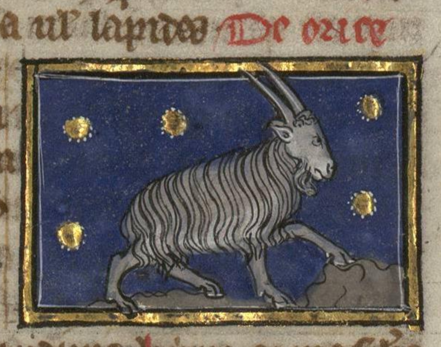 Medieval Bestiary : Beasts : Oryx