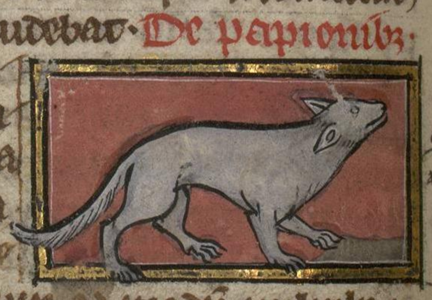 Medieval Bestiary : Beasts : Papiones