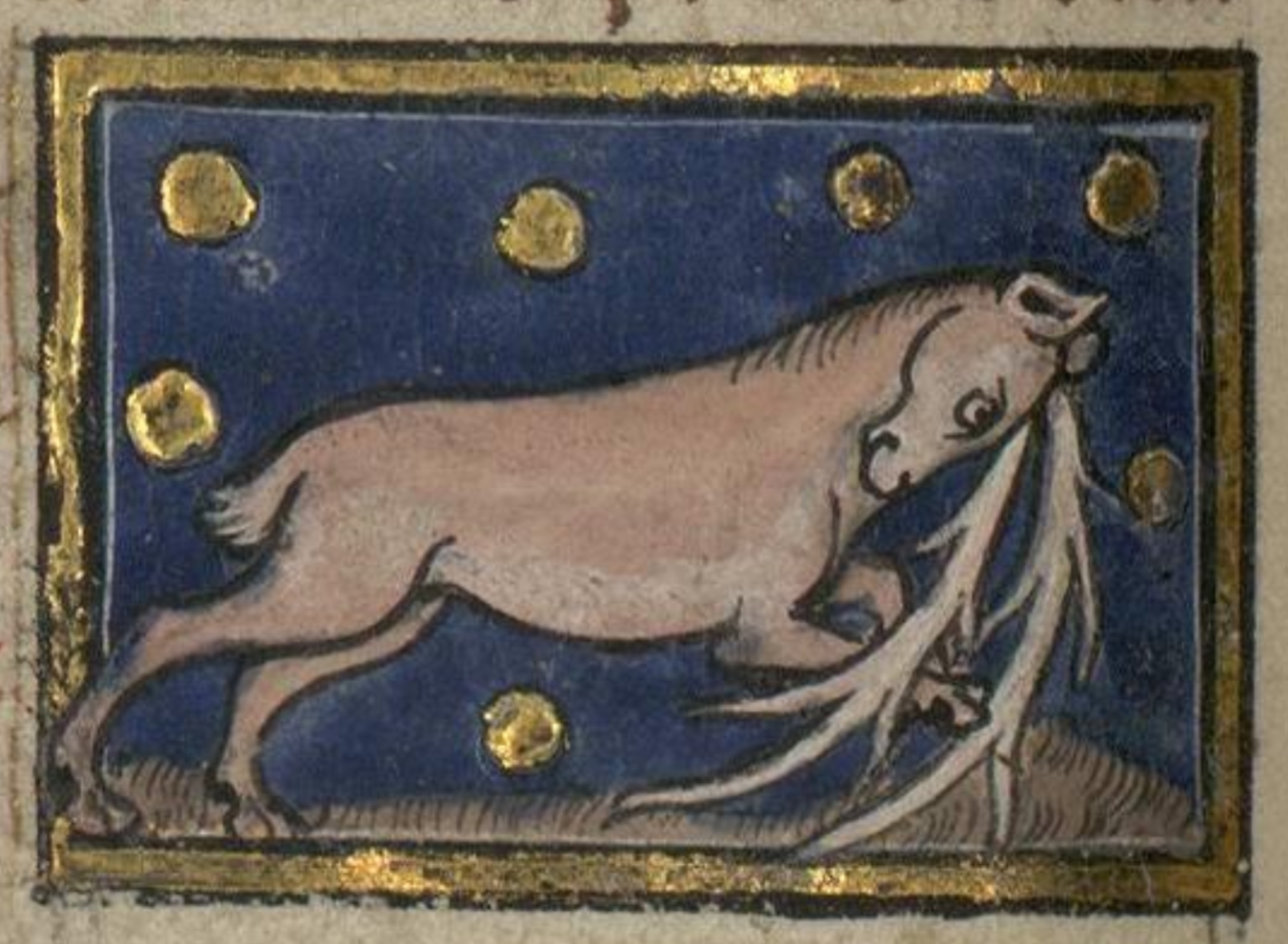 Medieval Bestiary : Beasts : Trogodite