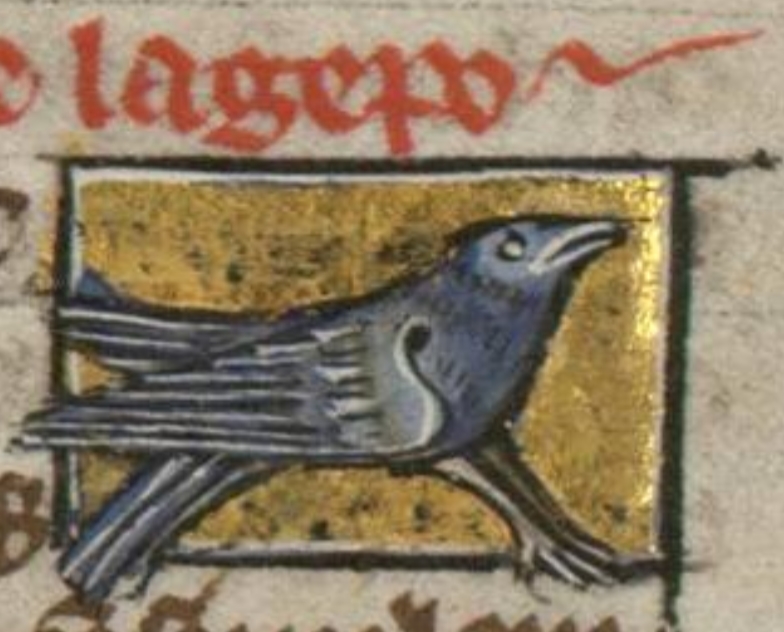Medieval Bestiary : Beasts : Ptarmigan