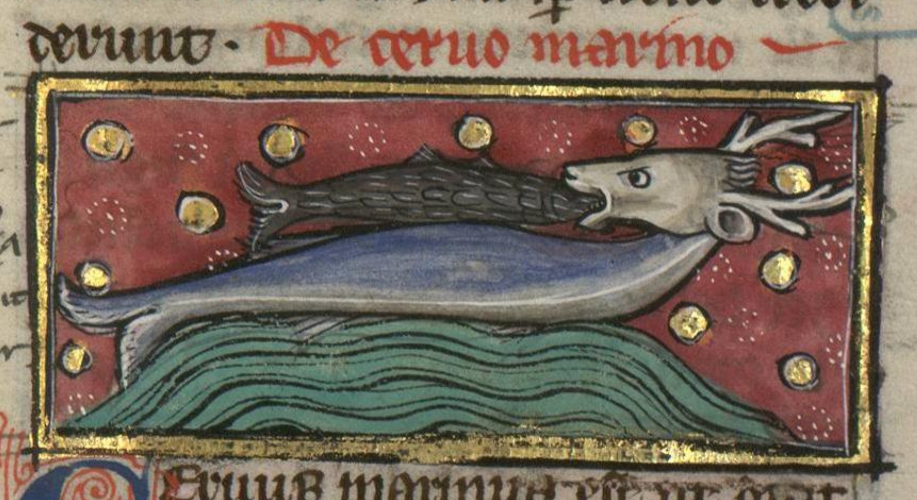 Medieval Bestiary : Beasts : Sea-stag