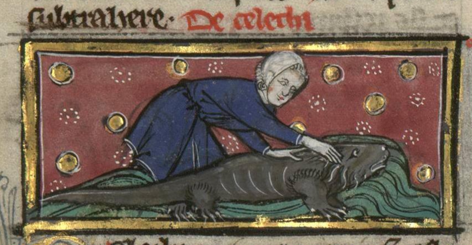 Medieval Bestiary : Beasts : Celethi