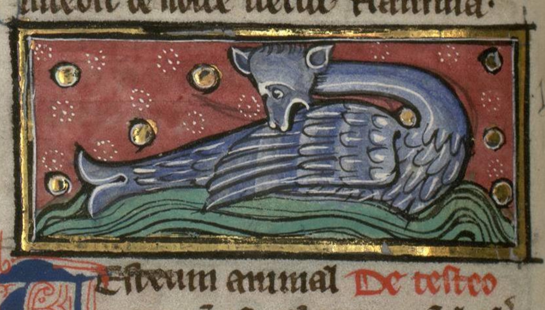Medieval Bestiary : Beasts : Testeum