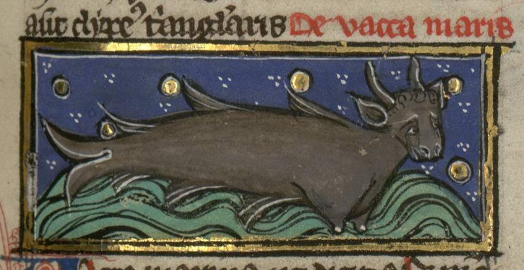 Medieval Bestiary : Beasts : Sea-cow