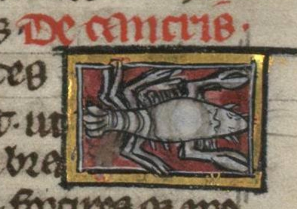 Medieval Bestiary : Beasts : Crab