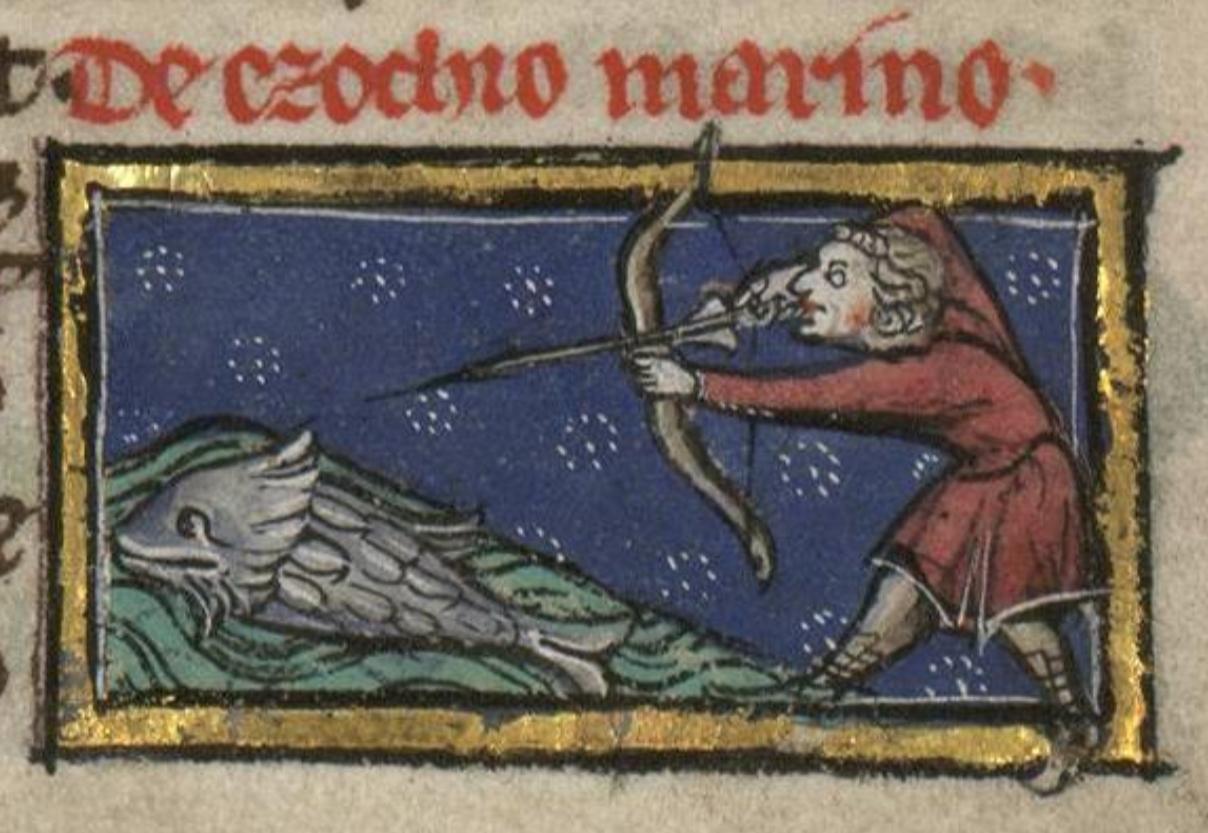 Medieval Bestiary : Beasts : Ezochius maris