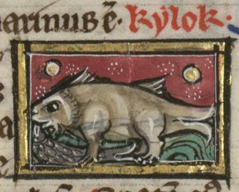 Medieval Bestiary : Beasts : Kylok
