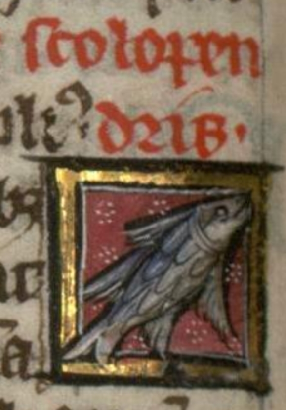 Medieval Bestiary : Beasts : Sea-centipede