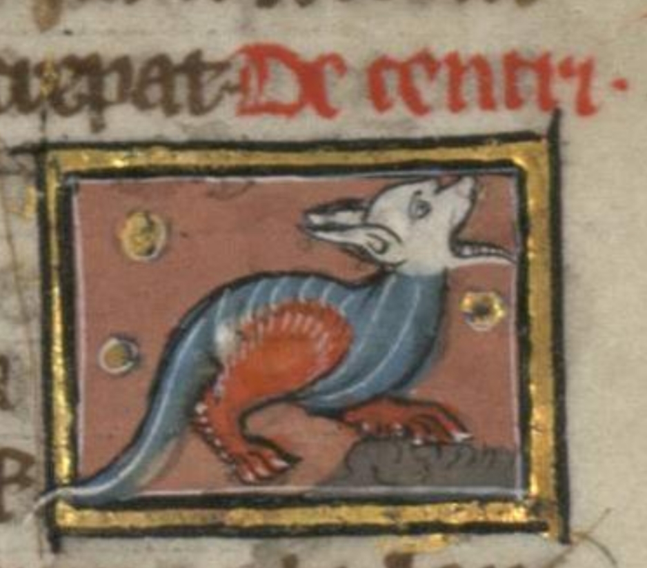 Medieval Bestiary : Beasts : Centris