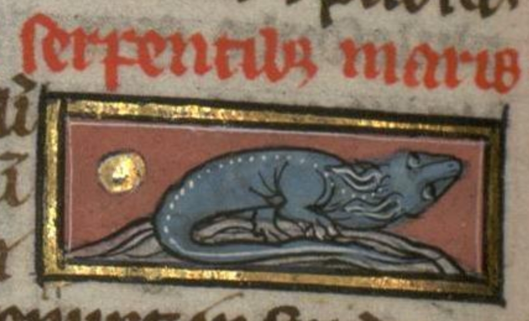 Medieval Bestiary : Beasts : Sea-serpent