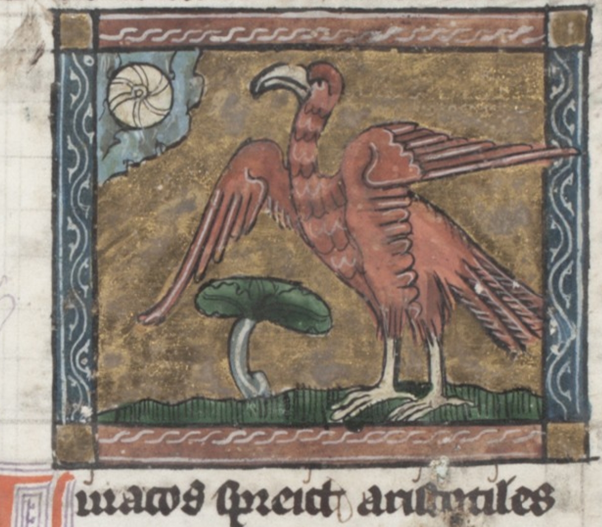 Medieval Bestiary : Beasts : Linachos
