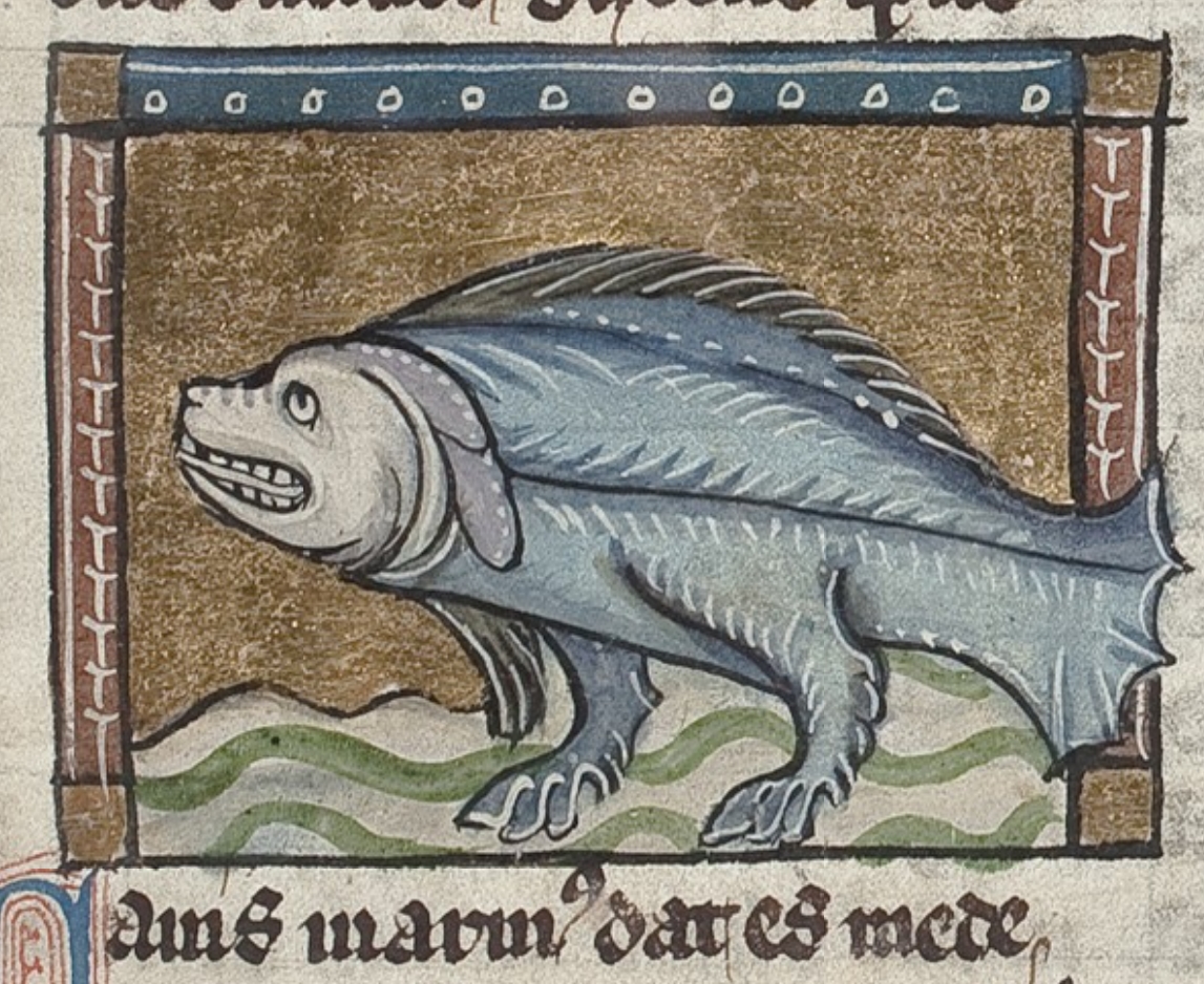 Medieval Bestiary : Beasts : Sea-dog