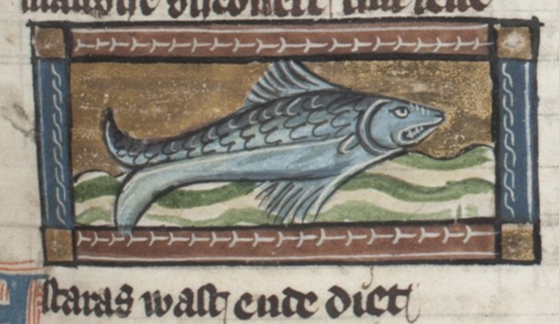 Medieval Bestiary : Beasts : Astaraz