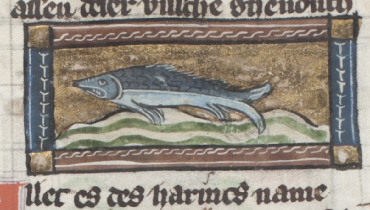 Medieval Bestiary : Beasts : Allec