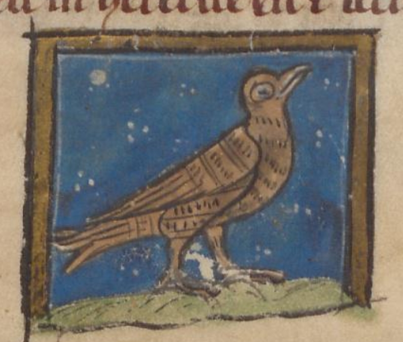 Medieval Bestiary : Beasts : Wood-dove