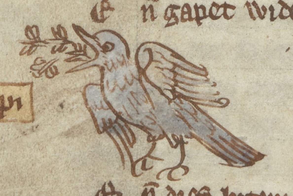 Medieval Bestiary : Beasts : Flycatcher