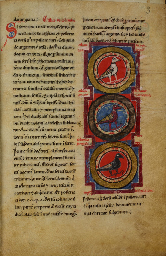 Medieval Bestiary : Manuscripts : Biblioteca Statale di Cremona ...