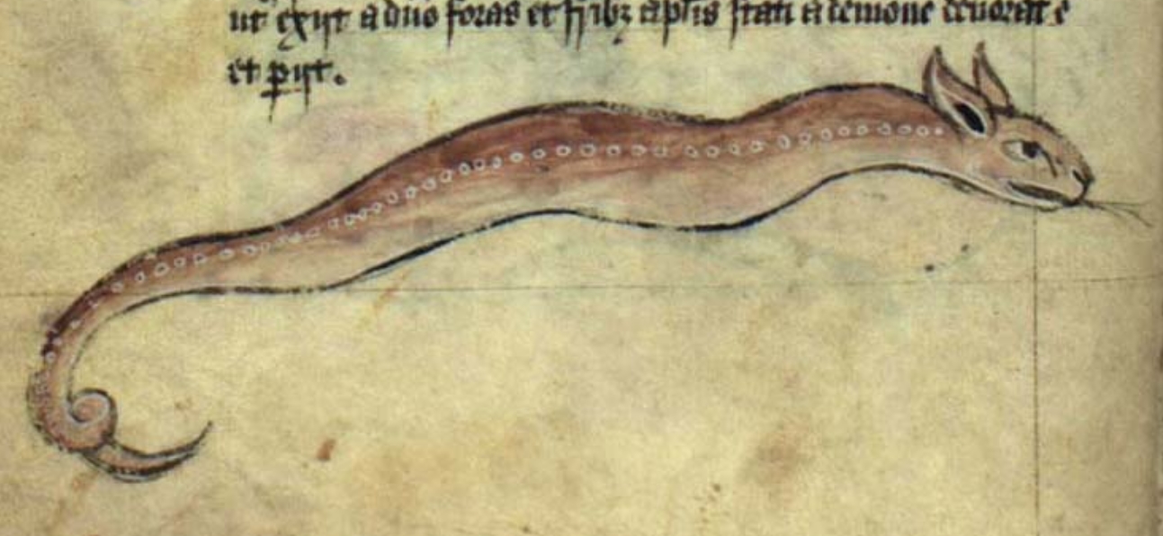 Medieval Bestiary : Beasts : Seps