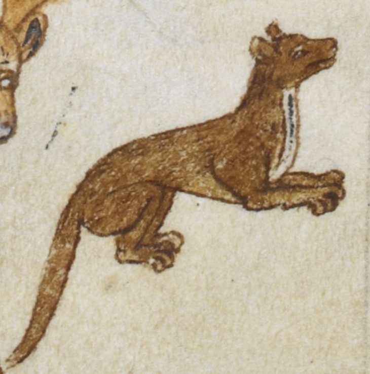 Medieval Bestiary : Beasts : Martin