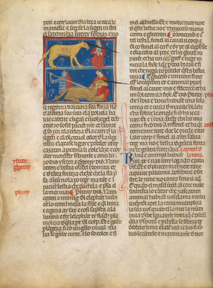Medieval Bestiary : Manuscripts : British Library Additional MS 8785