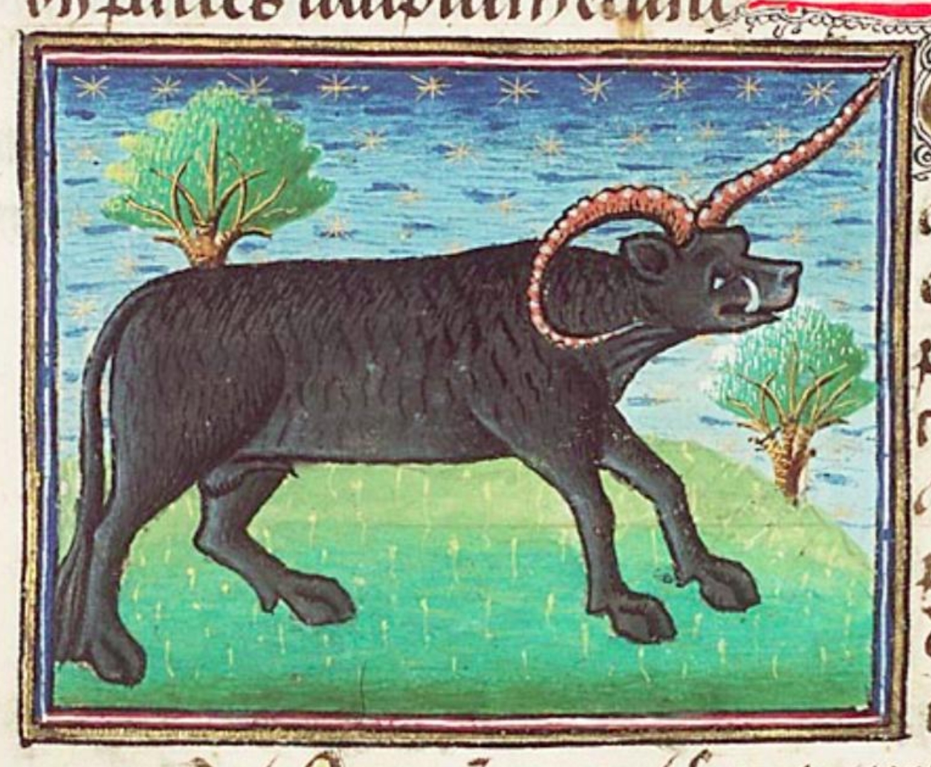Medieval Bestiary : Beasts : Yale